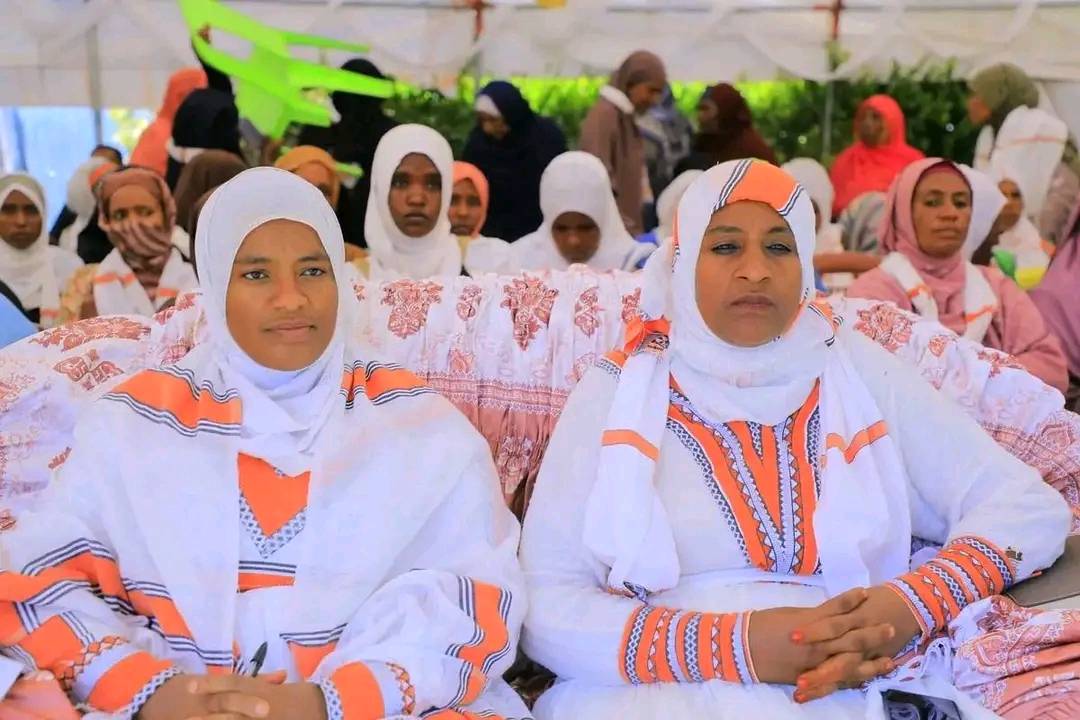 ISA - International Siltie Alliance